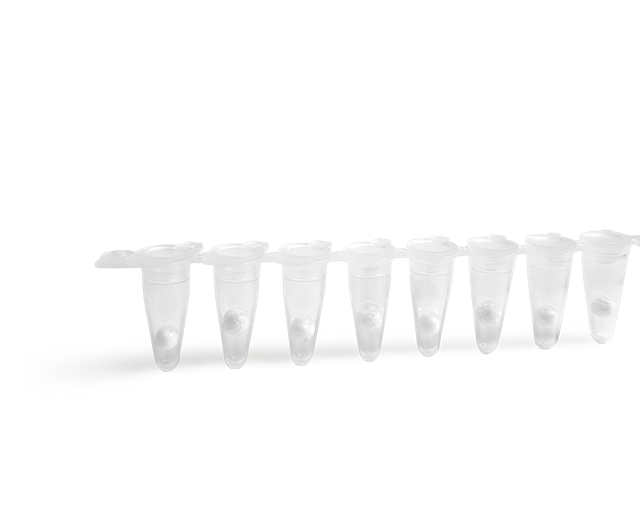 COVID-19 - Boditech Med